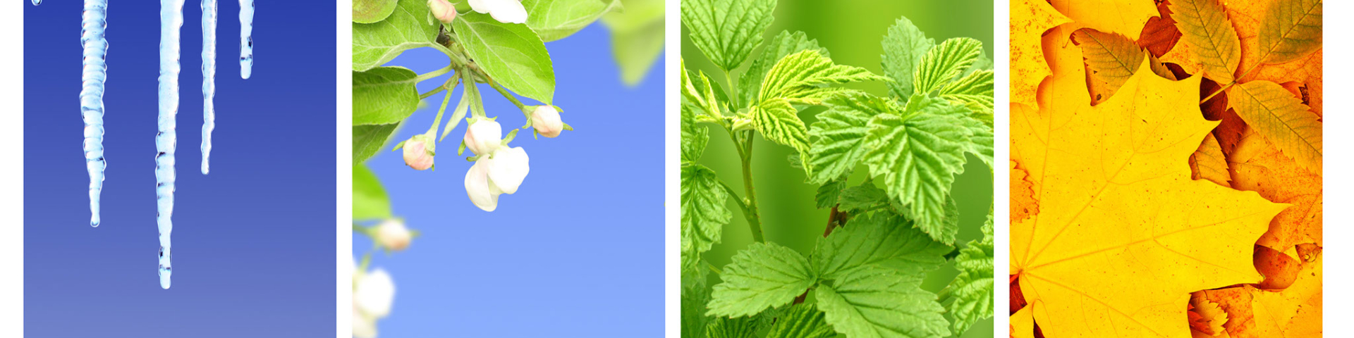 Four Seasons of Transportation – Taylor Logistics Inc. Freight Blog